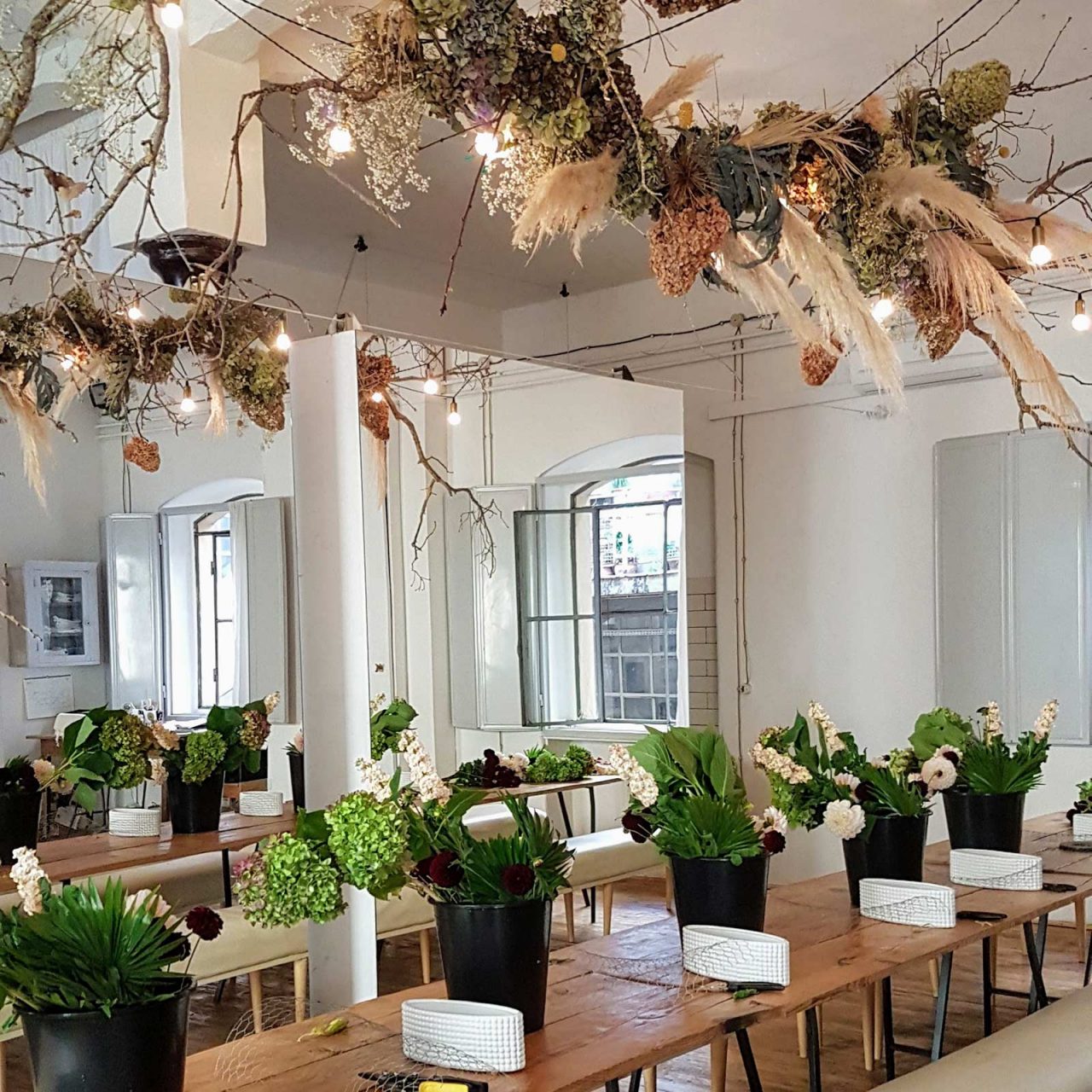 Flower Classes | Dylan Tripp